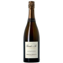 Champagne Ambonnay 2019 - Grand Cru - Bérêche & Fils - Les Passionnés ...